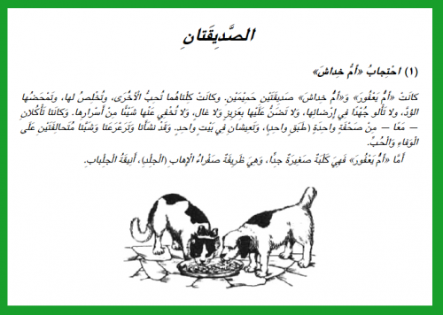 Arabic Language Ebook Conversion & Formatting Services – Ebookifi.com